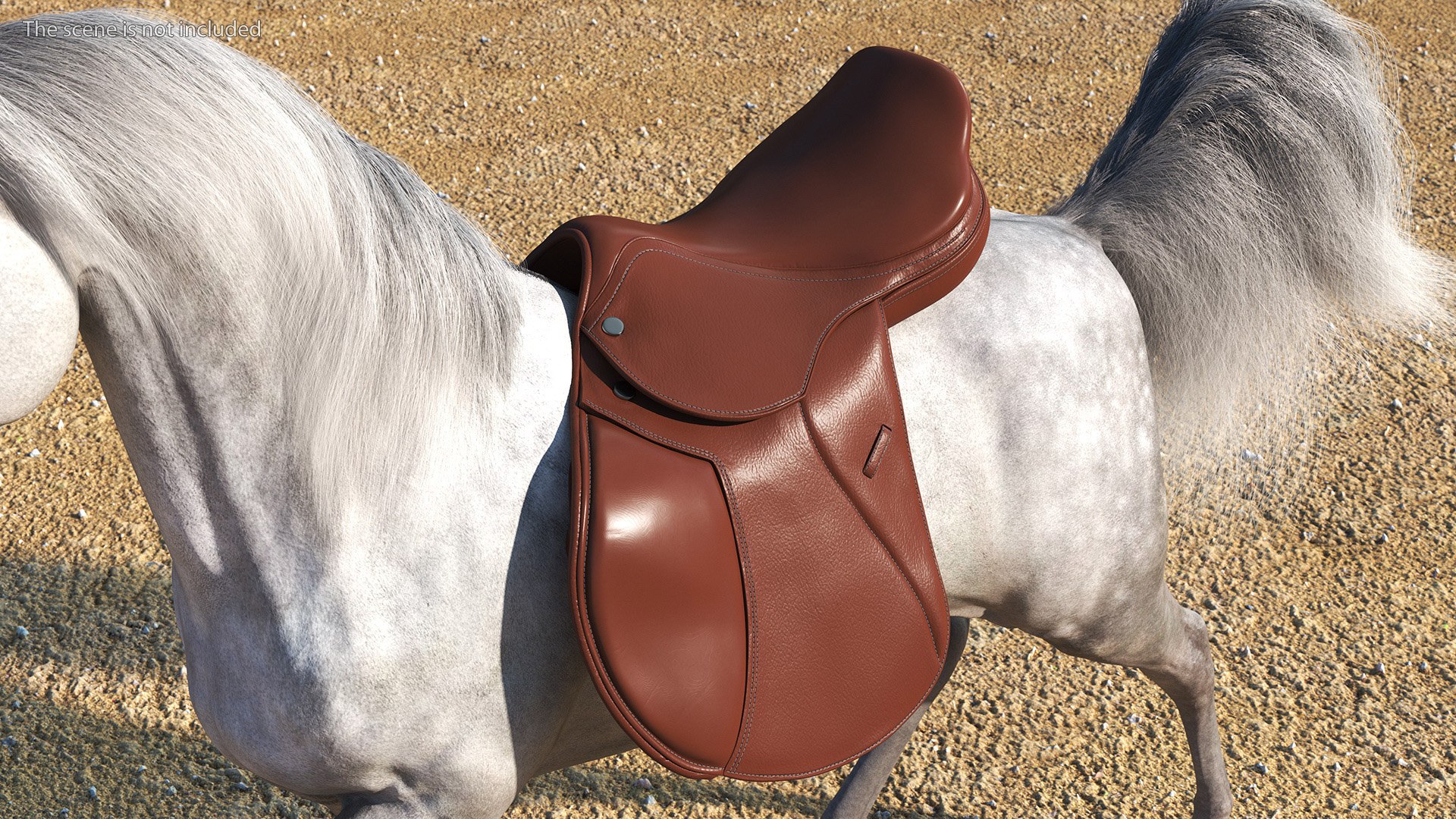 All Purpose Saddle 3D Model - TurboSquid 2167647
