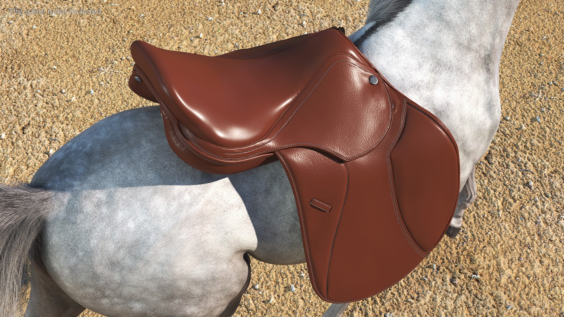 All Purpose Saddle 3D model - TurboSquid 2167647