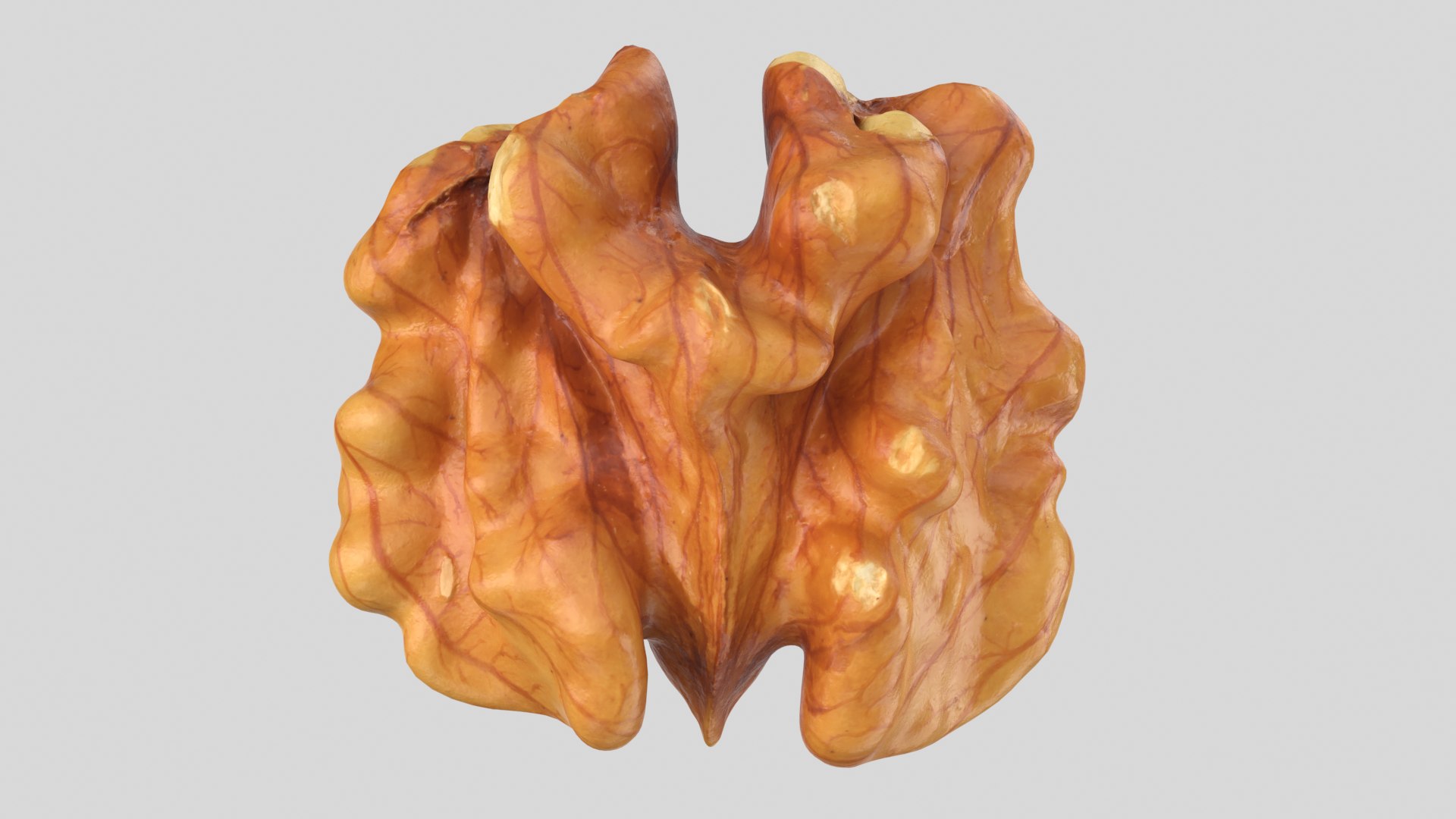 Walnut Half 01 Model - TurboSquid 1860876