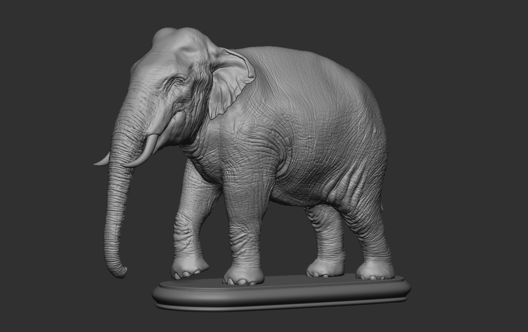 Asian Elephant 3D Model - TurboSquid 2205826