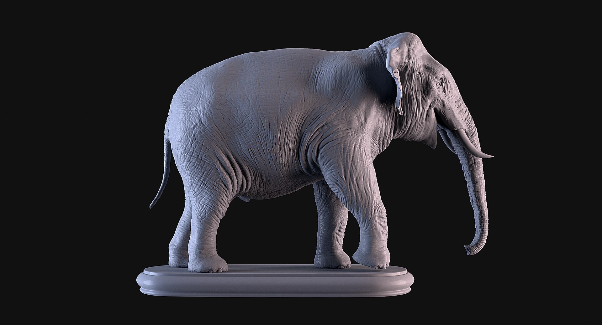 Asian Elephant 3D Model - TurboSquid 2205826