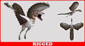 3d eoraptor dinosaur model