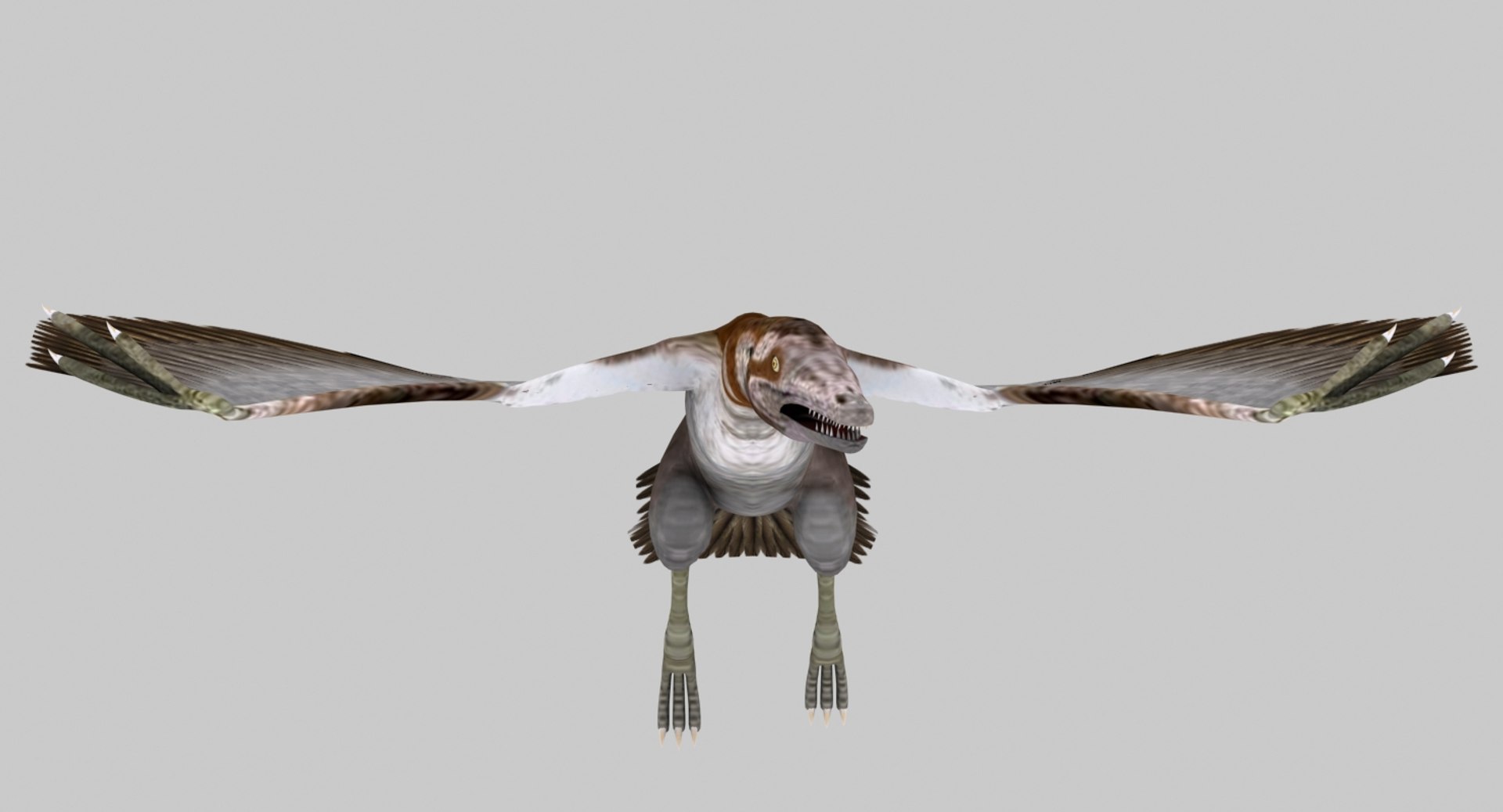 3d Model Dinosaur Flay
