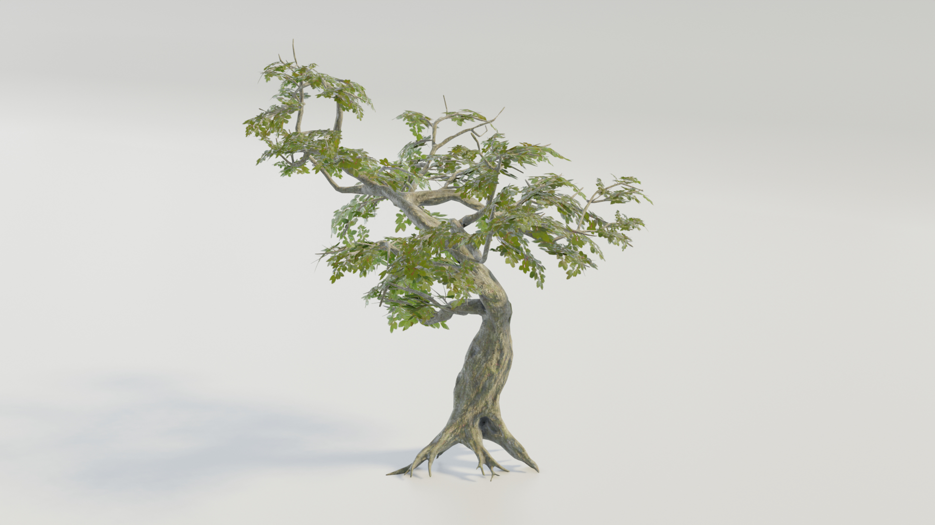 3D Tree Twisted Model - TurboSquid 1609245