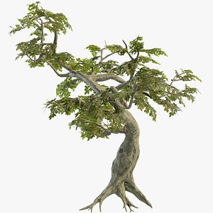 Tree Twisted 3D Models for Download | TurboSquid