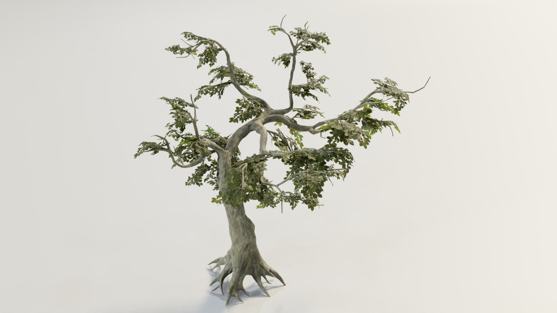 3D Tree Twisted Model - TurboSquid 1609245