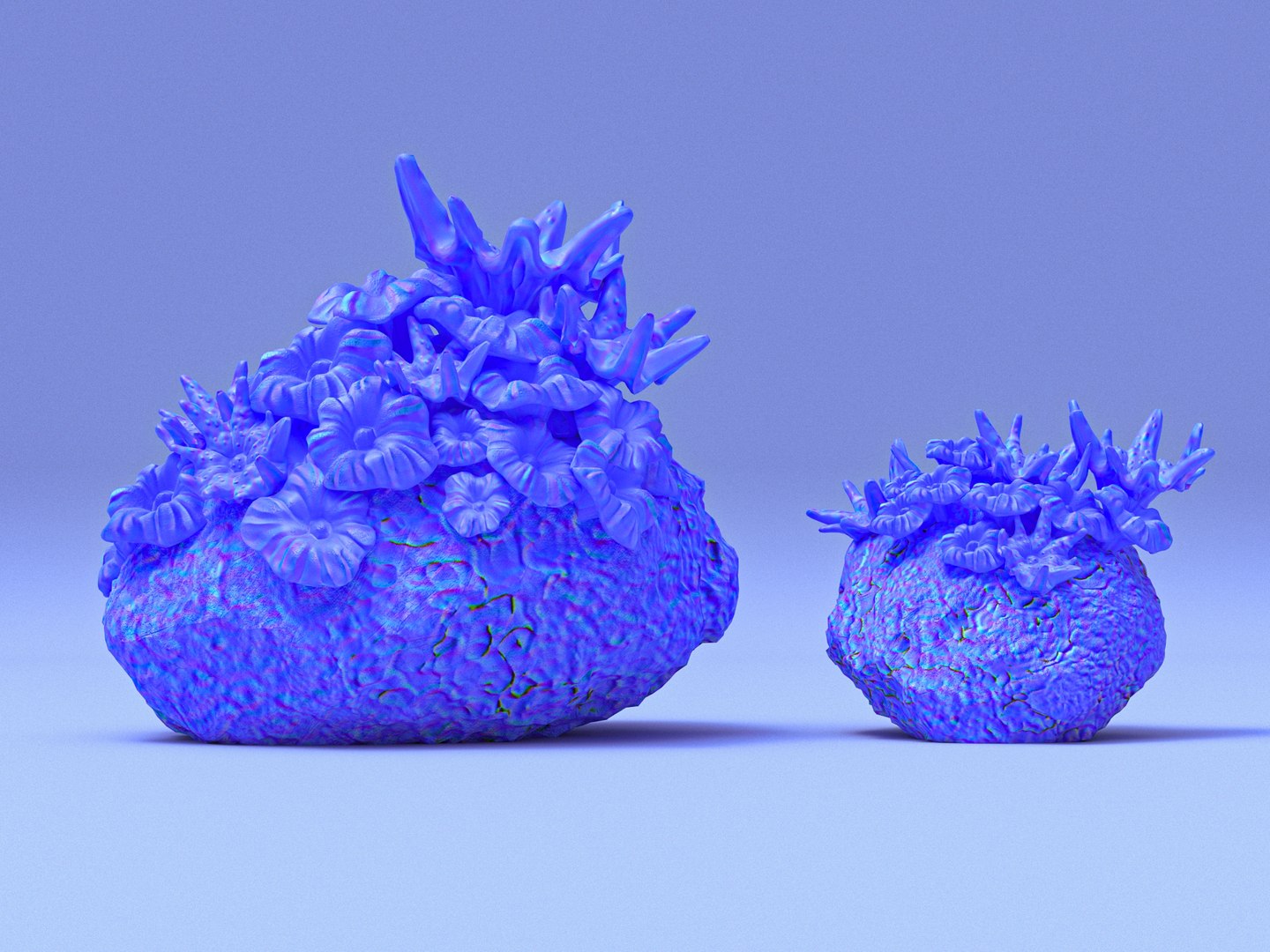 Coral Polyp 2 3D Model - TurboSquid 1837974