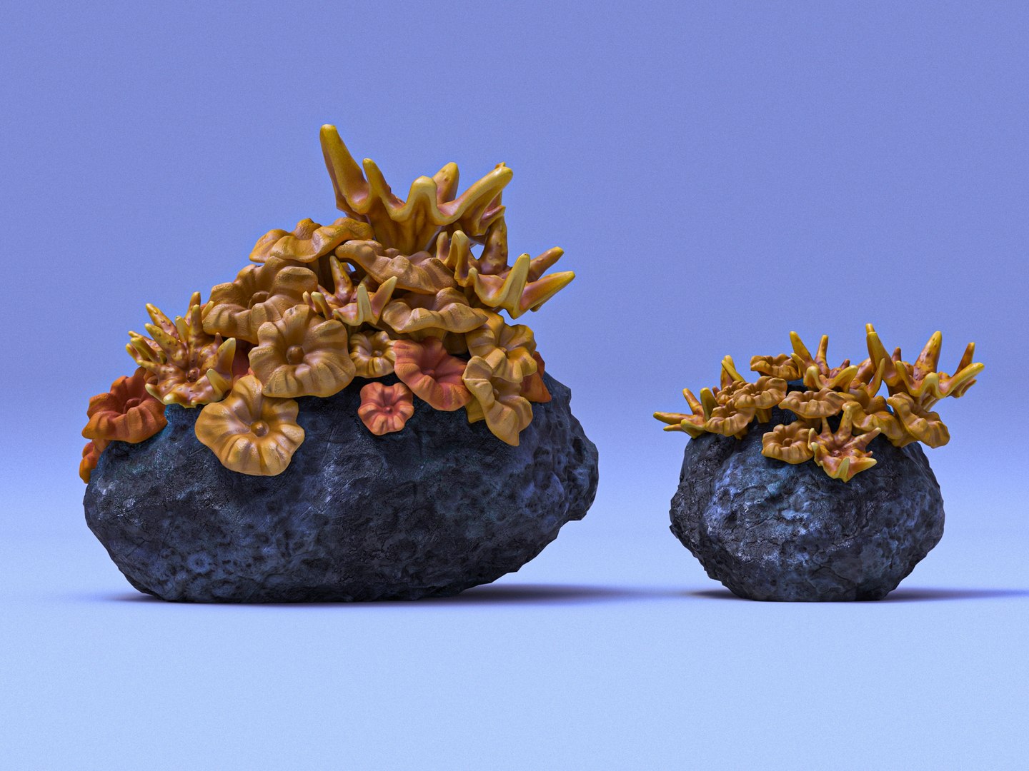 Coral Polyp 2 3D Model - TurboSquid 1837974