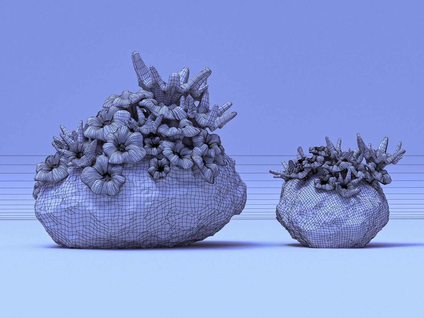 Coral Polyp 2 3D Model - TurboSquid 1837974