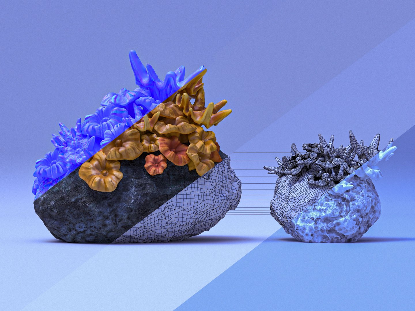 Coral Polyp 2 3D Model - TurboSquid 1837974