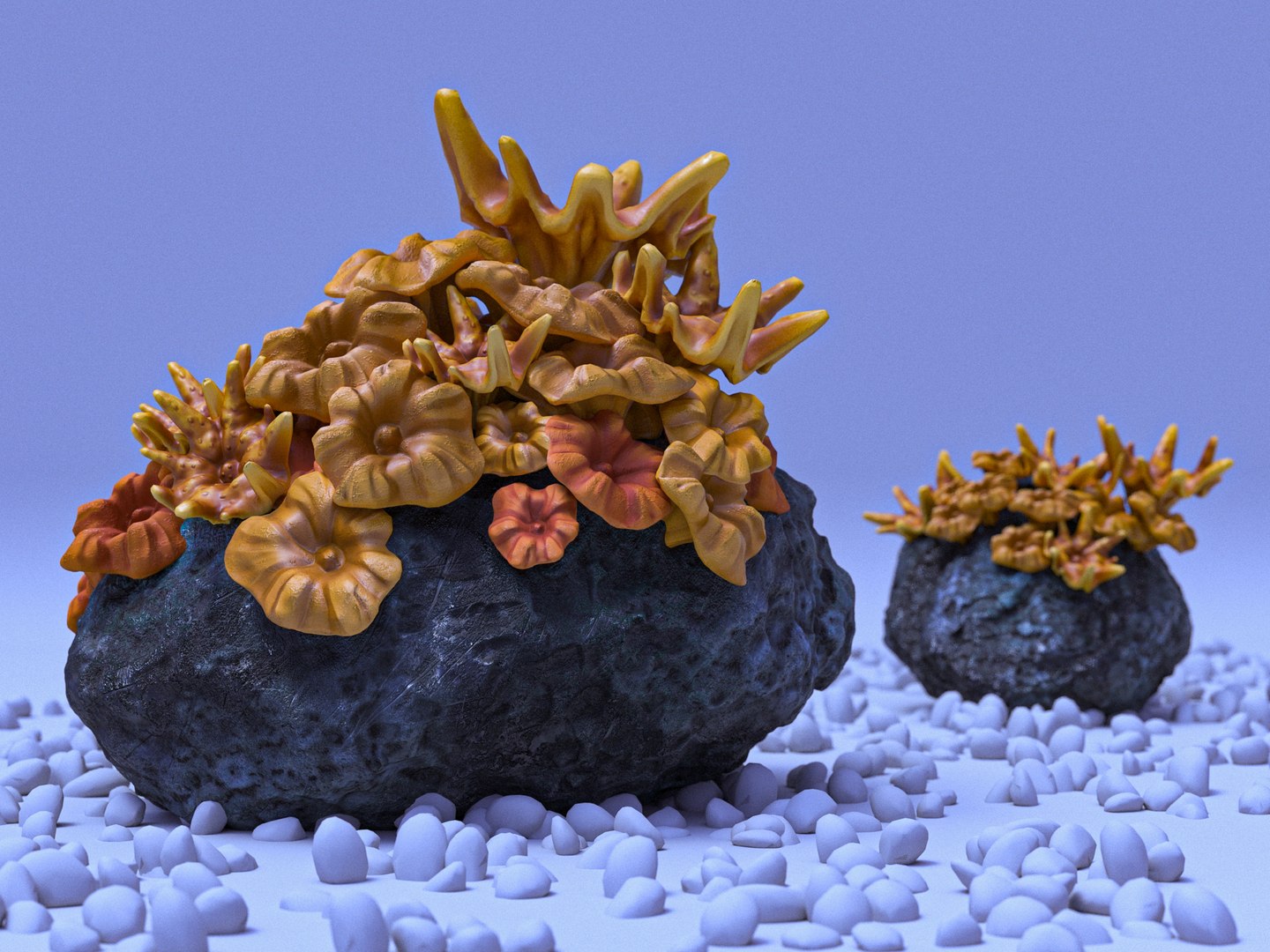 Coral Polyp 2 3D Model - TurboSquid 1837974