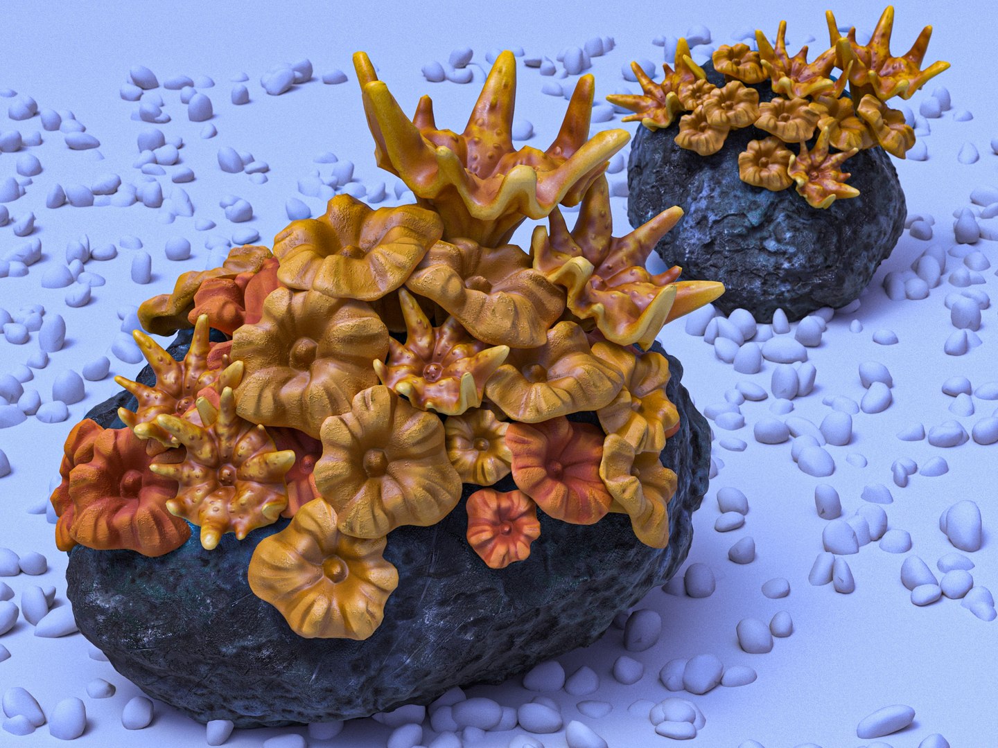 Coral Polyp 2 3D Model - TurboSquid 1837974