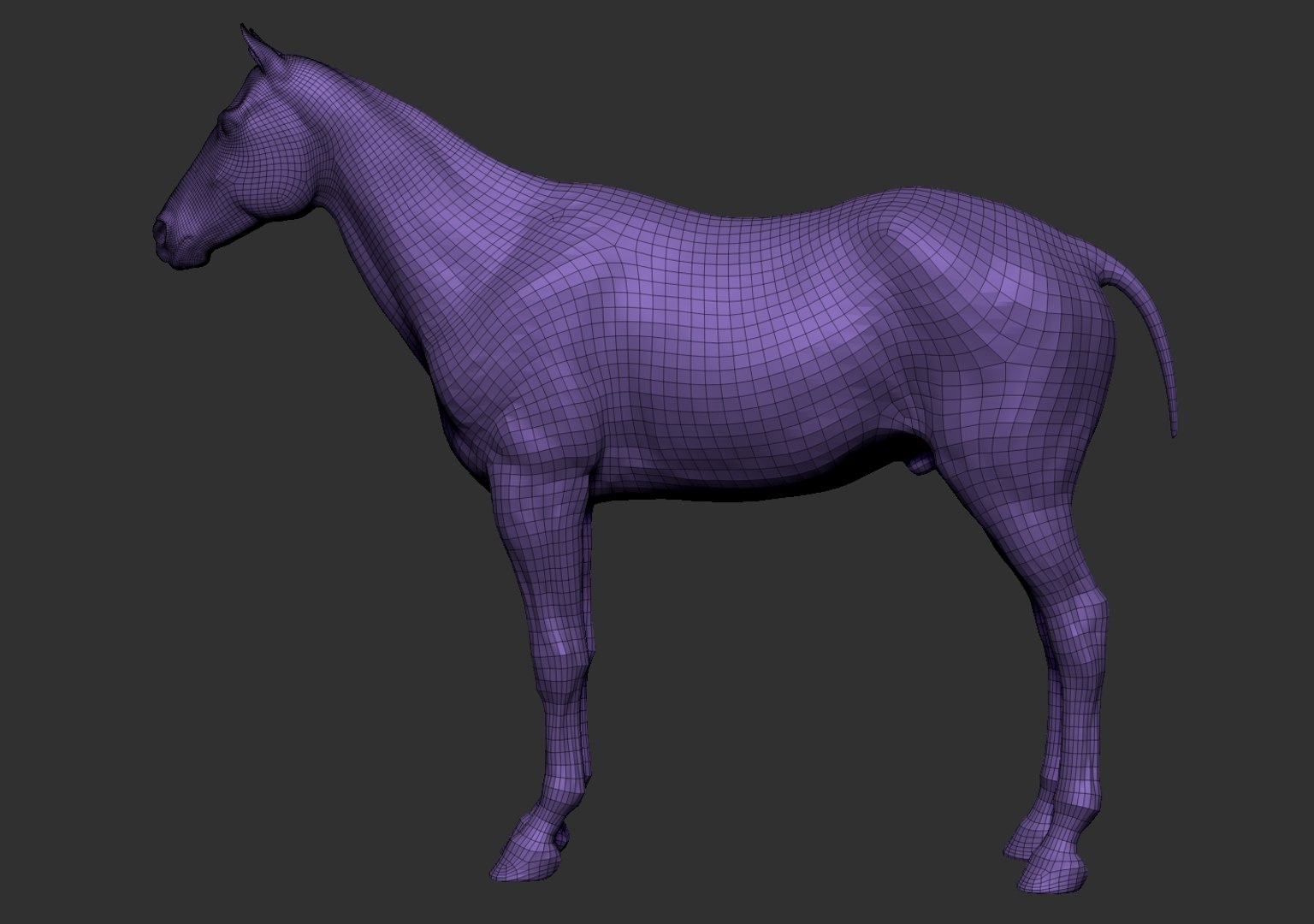 Horse Base Realistic Model - TurboSquid 1565283