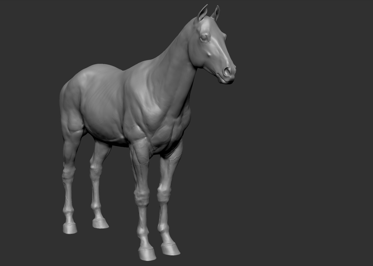 Horse Base Realistic Model - TurboSquid 1565283