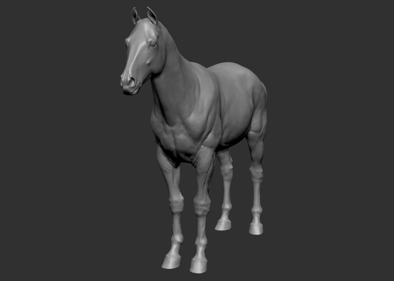 Horse Base Realistic Model - TurboSquid 1565283
