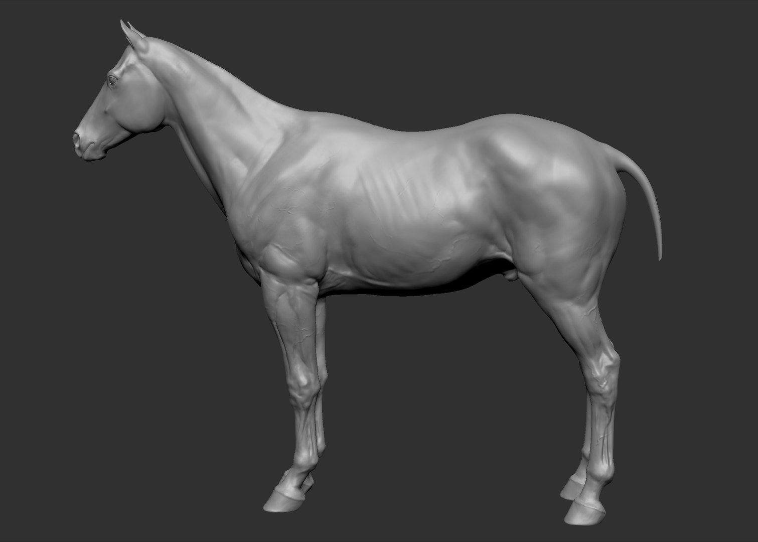Horse Base Realistic Model - TurboSquid 1565283