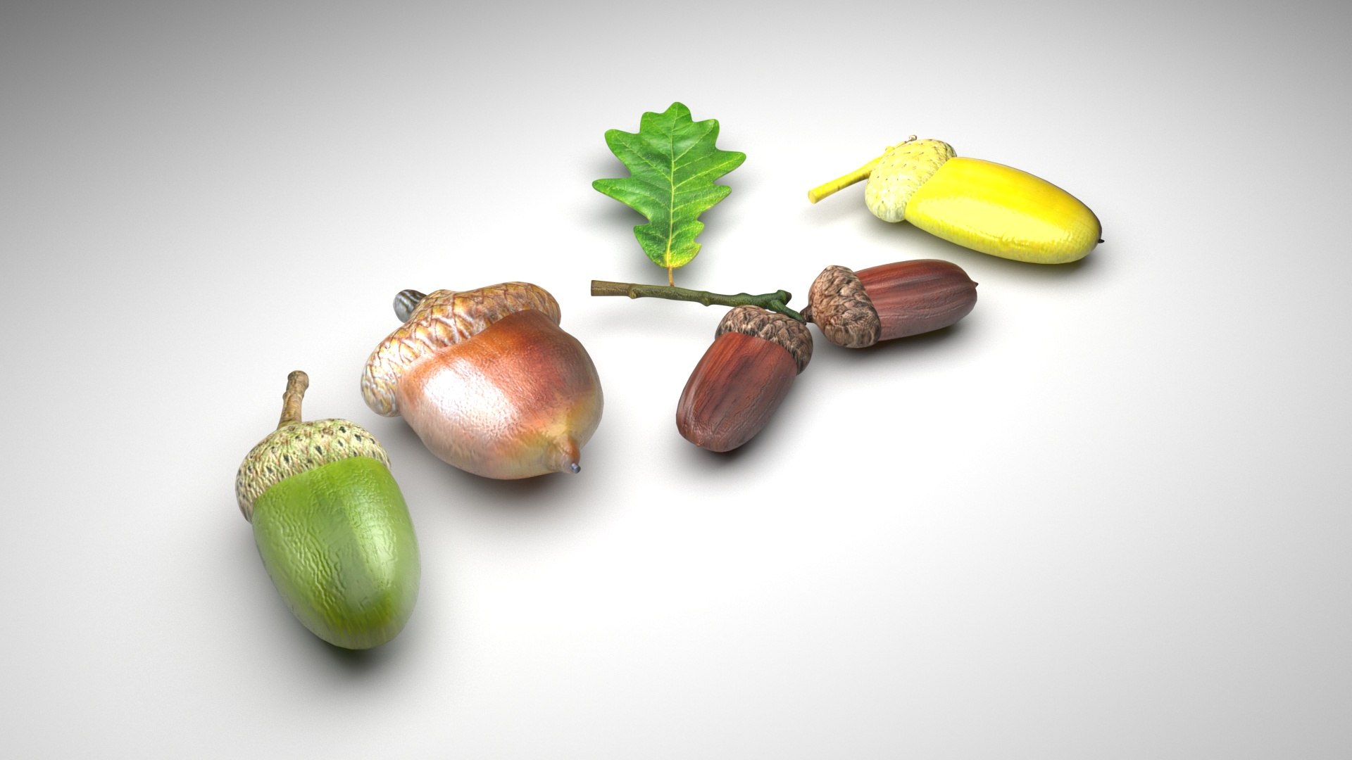 Acorns Collection 3D - TurboSquid 1854246