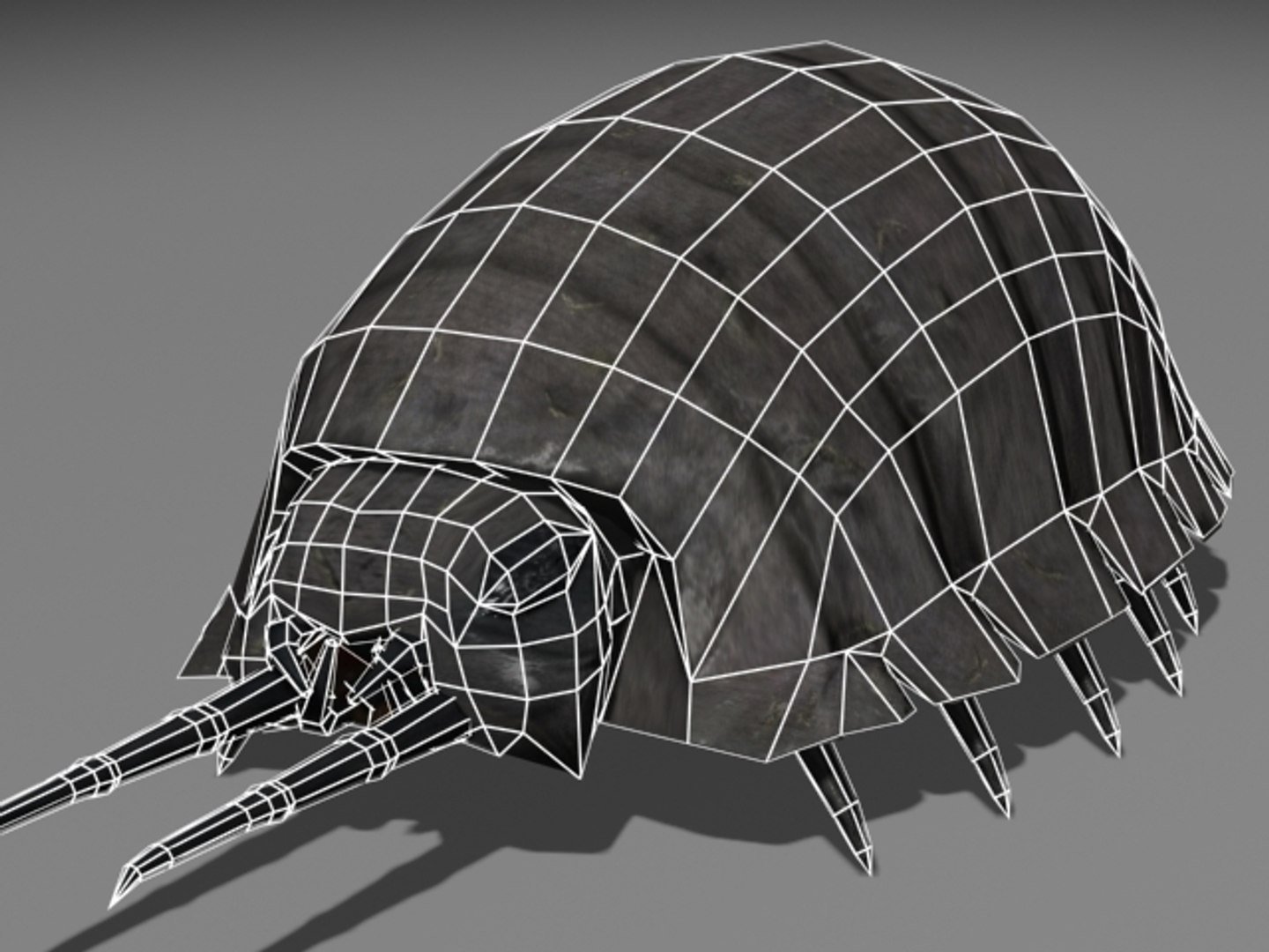 Pill Bug 3d Model