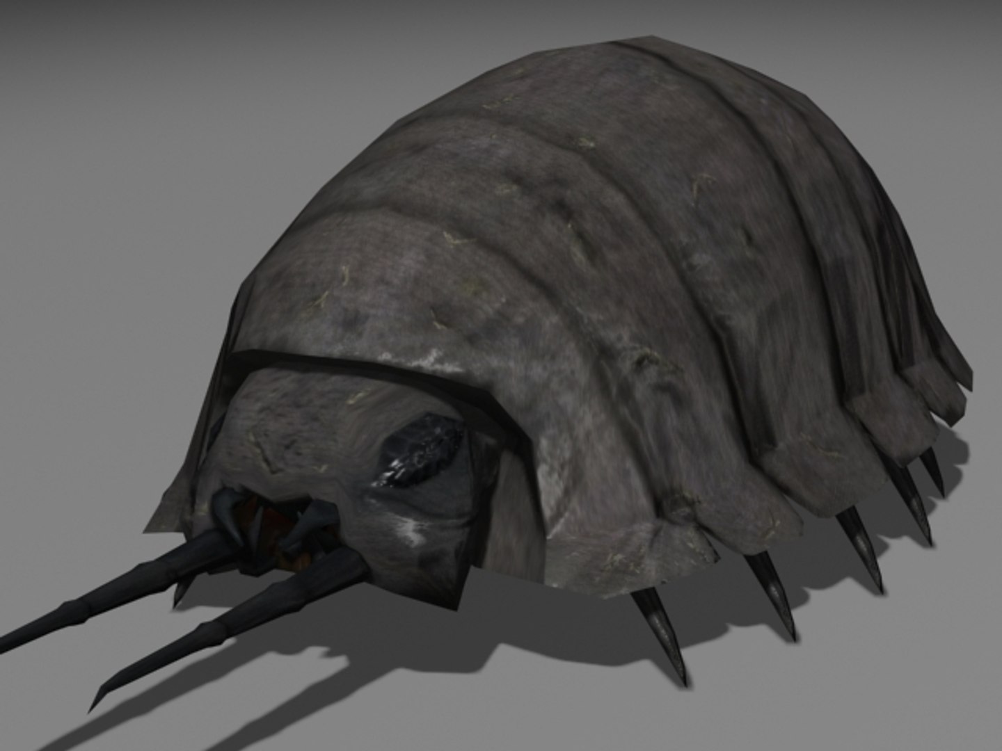 Pill Bug 3d Model