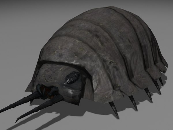 pill bug 3d model
