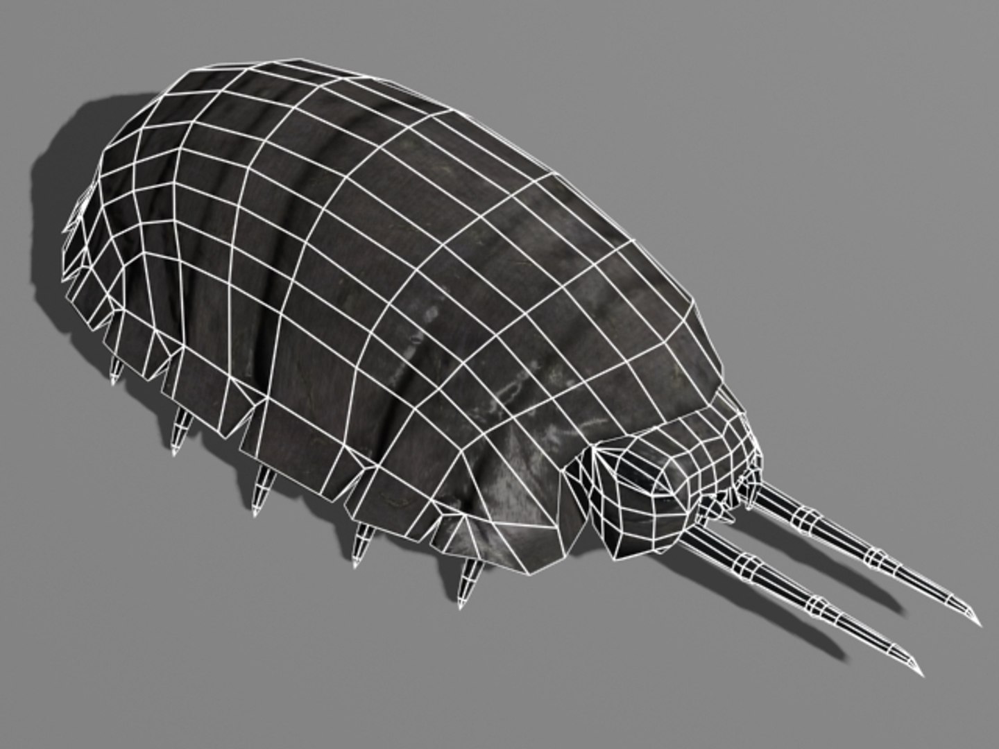 Pill Bug 3d Model