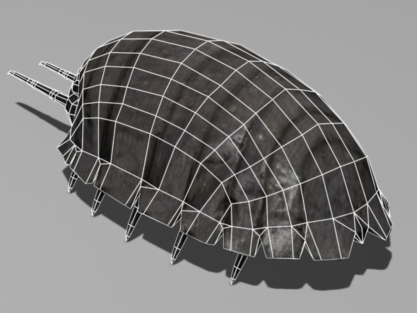Pill Bug 3d Model
