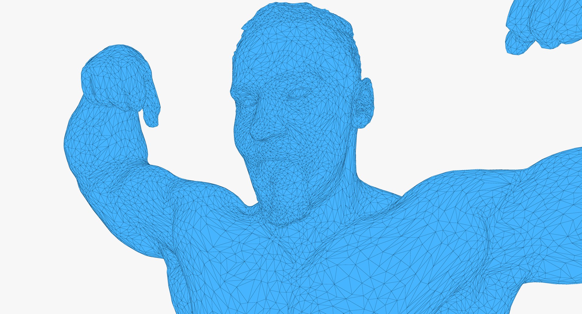 3d Bodybuilder Fullbody