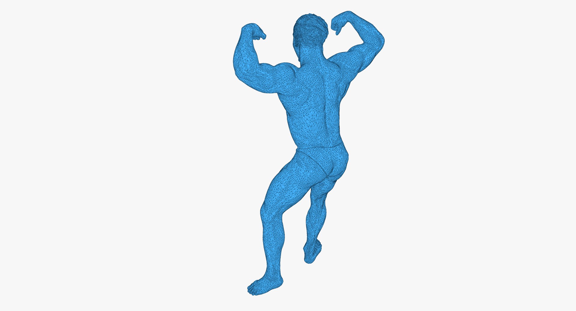 3d Bodybuilder Fullbody