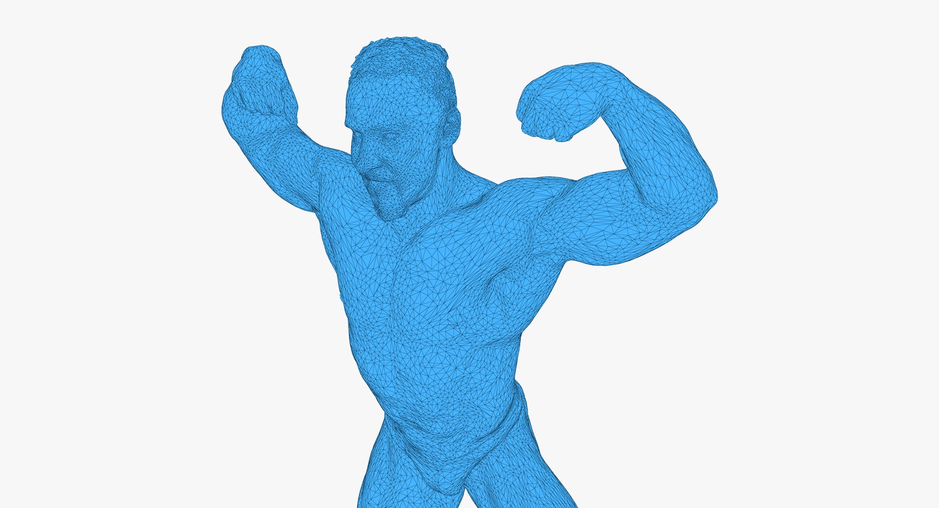 3d Bodybuilder Fullbody