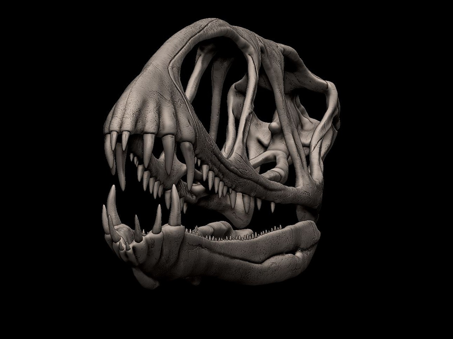 3D Model Dimorphodon Skull 3D Print Model - TurboSquid 2396584