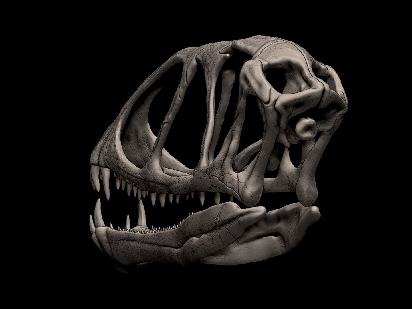 3D Model Dimorphodon Skull 3D Print Model - TurboSquid 2396584