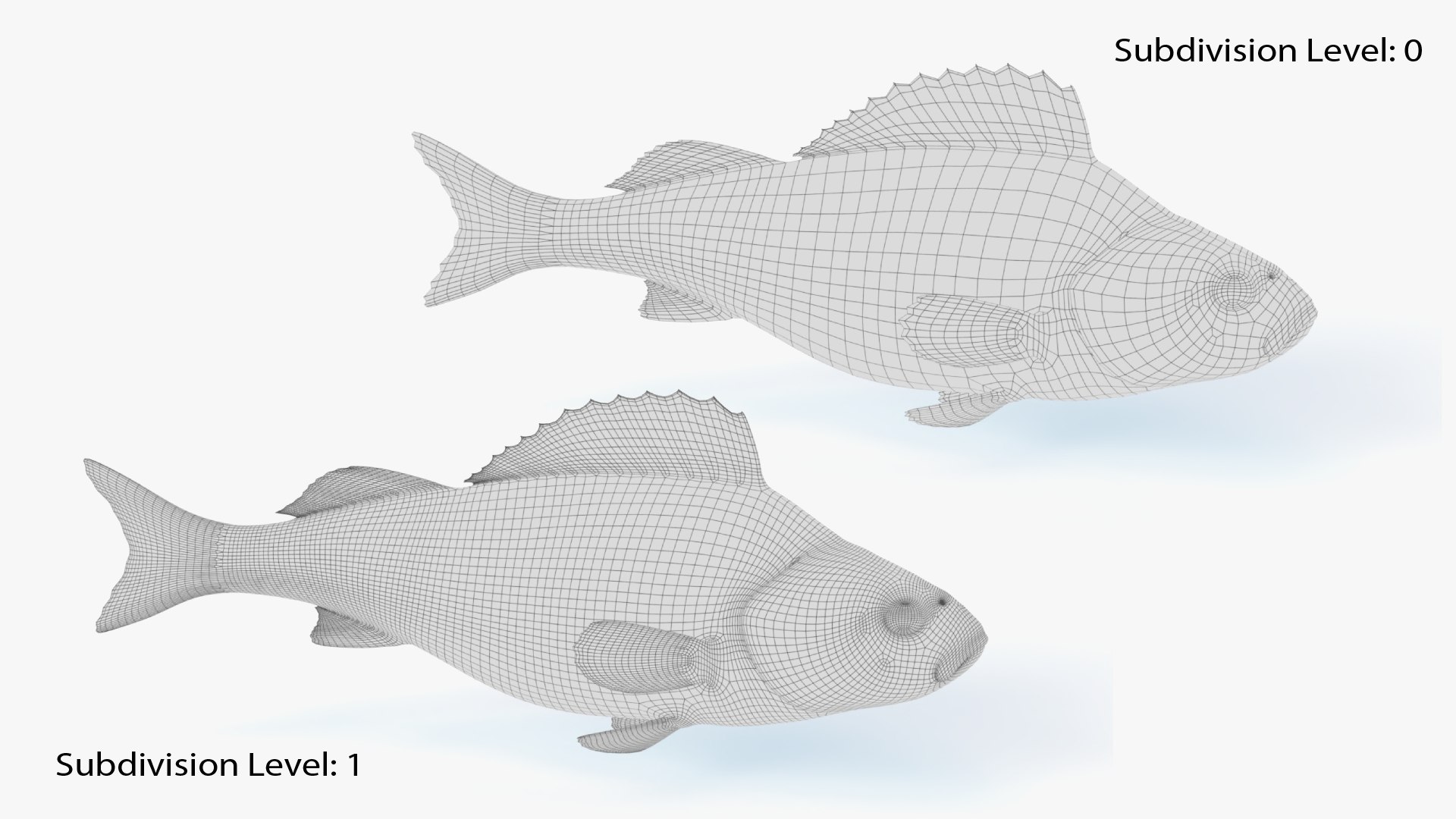 Perch Animated 3D - TurboSquid 2367025