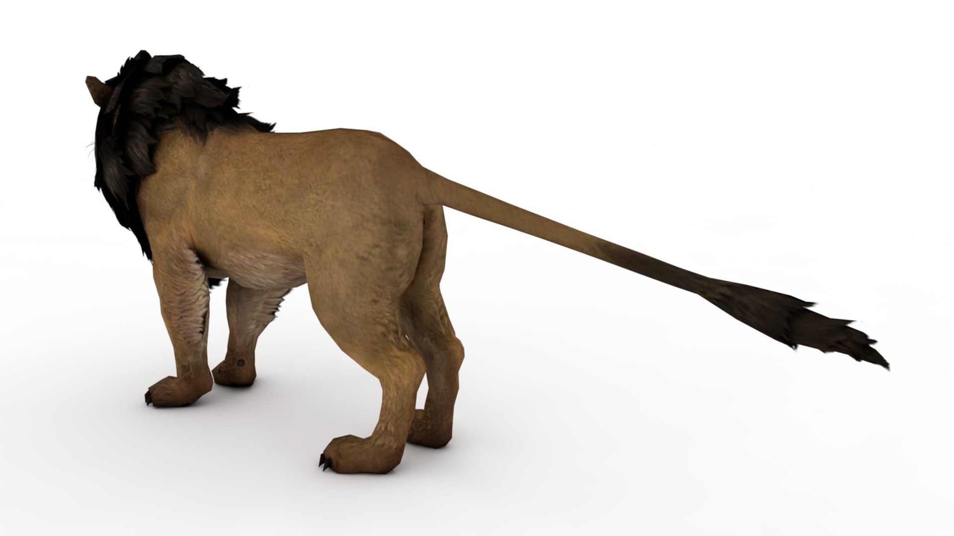 3D Lion Model - TurboSquid 1948799