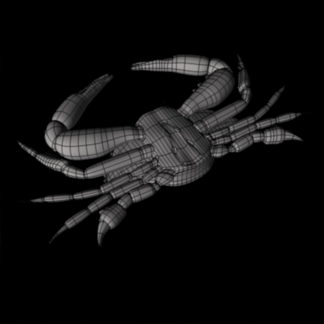 3d Model Crustacean Prawn Lobster Crab