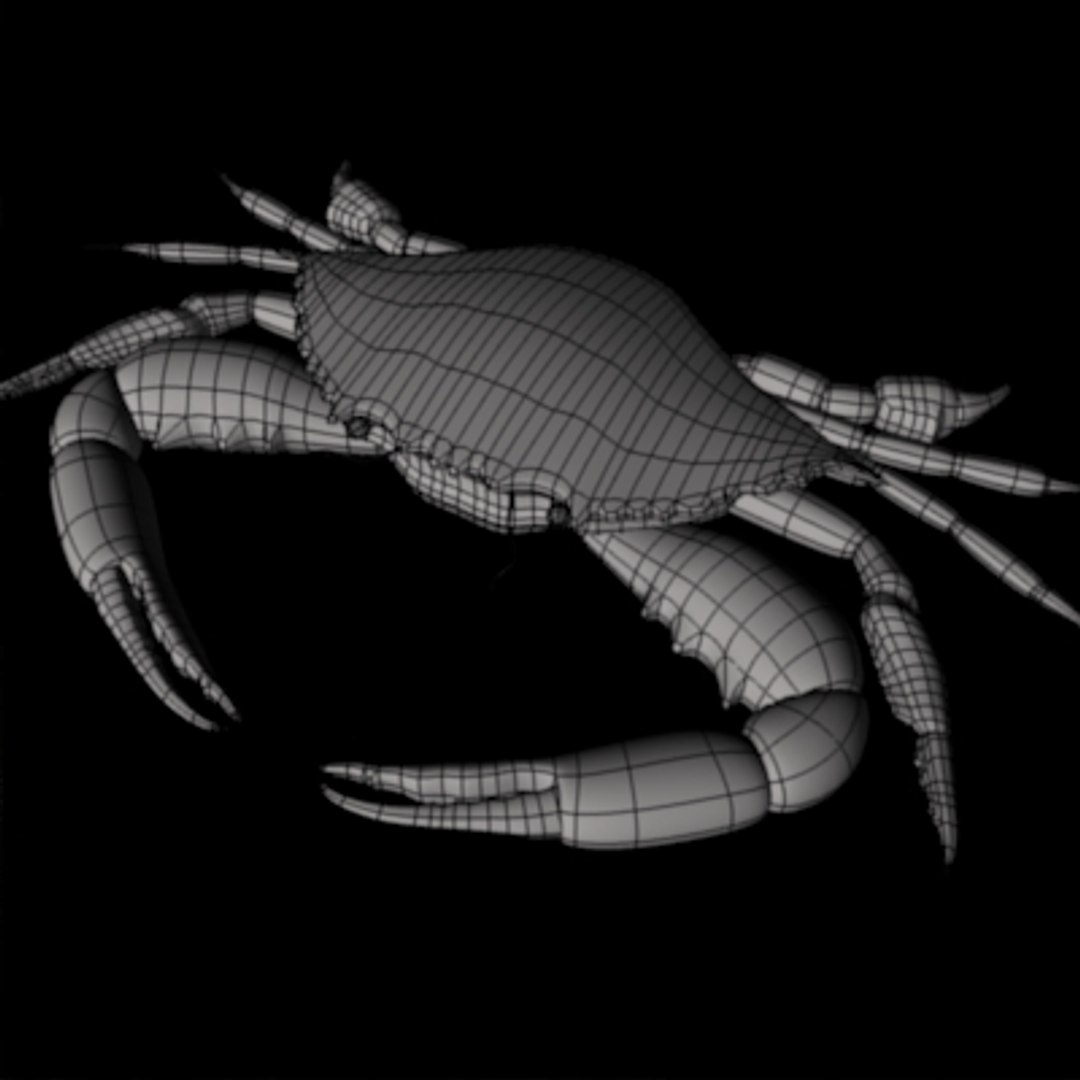 3d Model Crustacean Prawn Lobster Crab