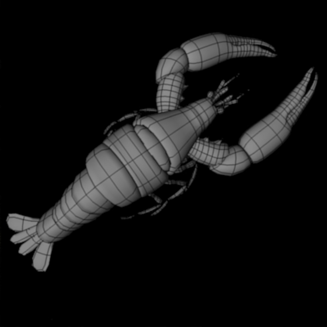 3d Model Crustacean Prawn Lobster Crab