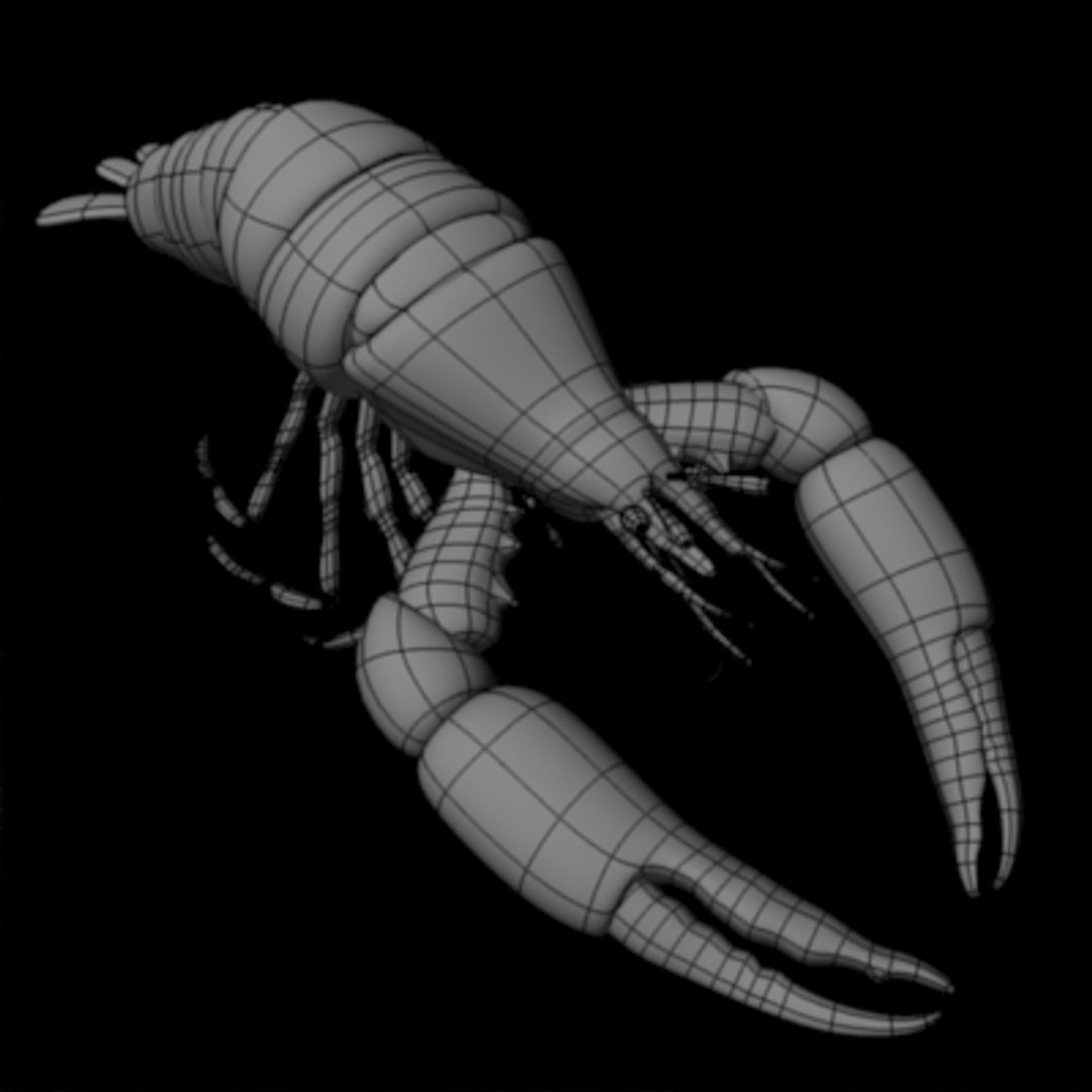 3d Model Crustacean Prawn Lobster Crab