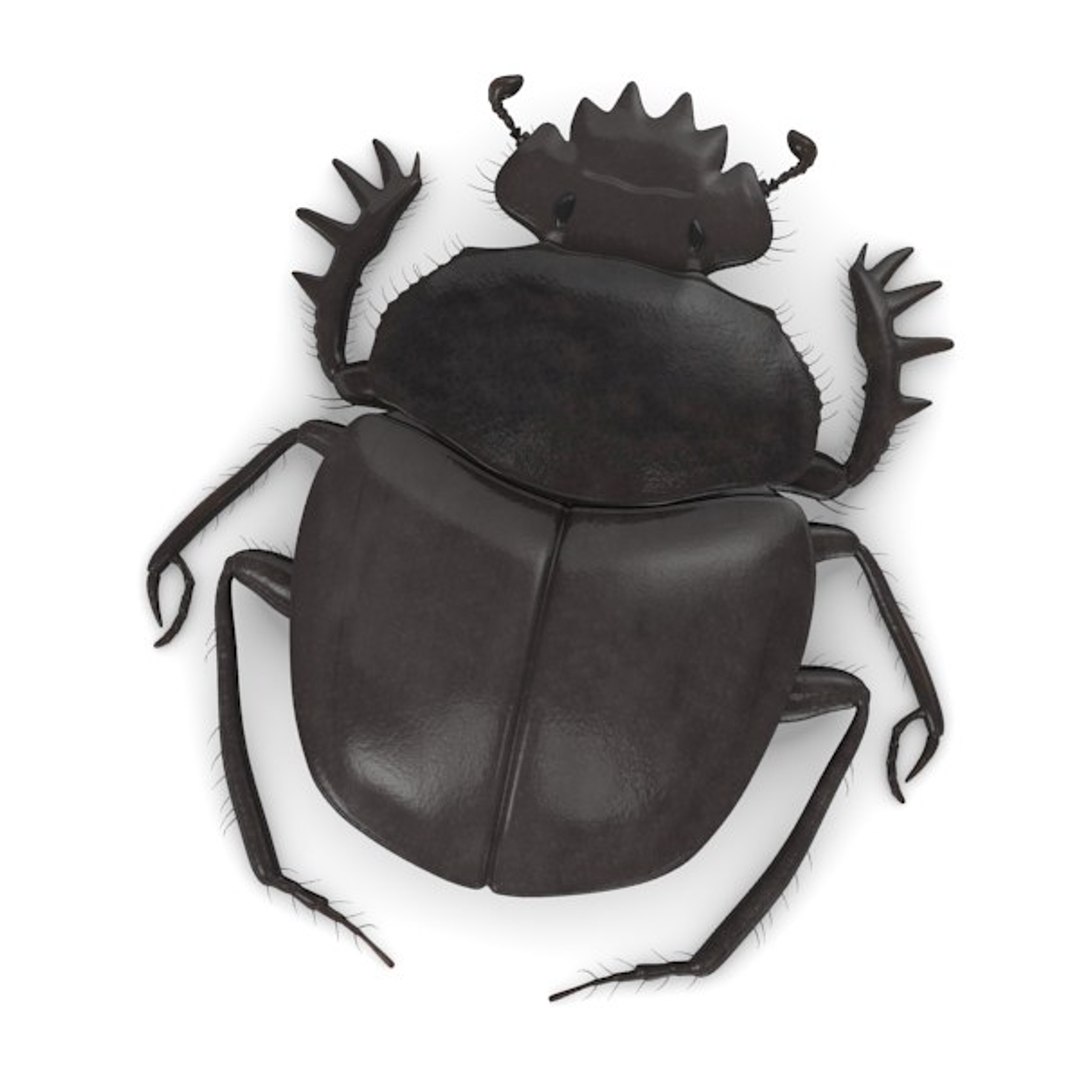 Scarabeus Typhon 3ds
