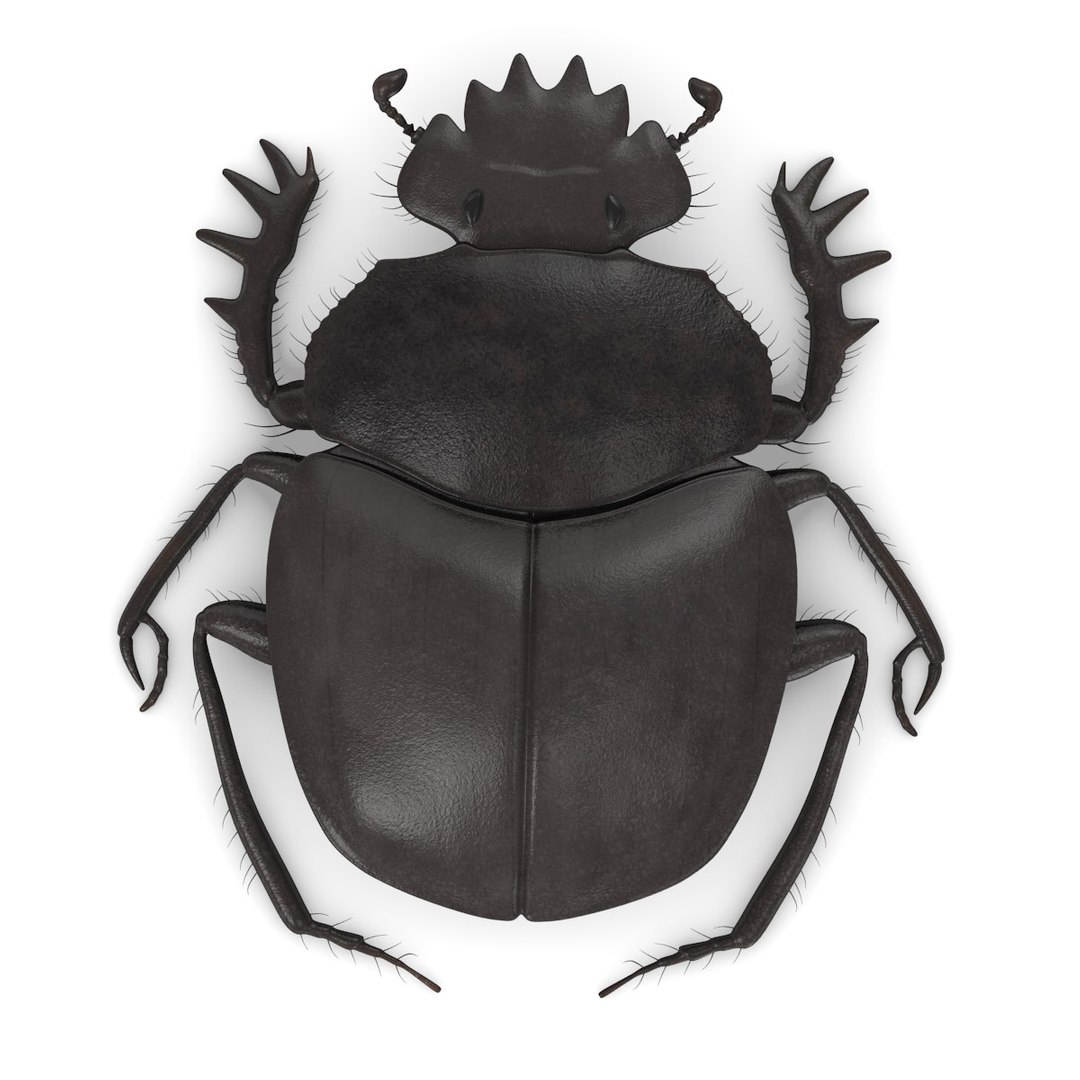 Scarabeus Typhon 3ds