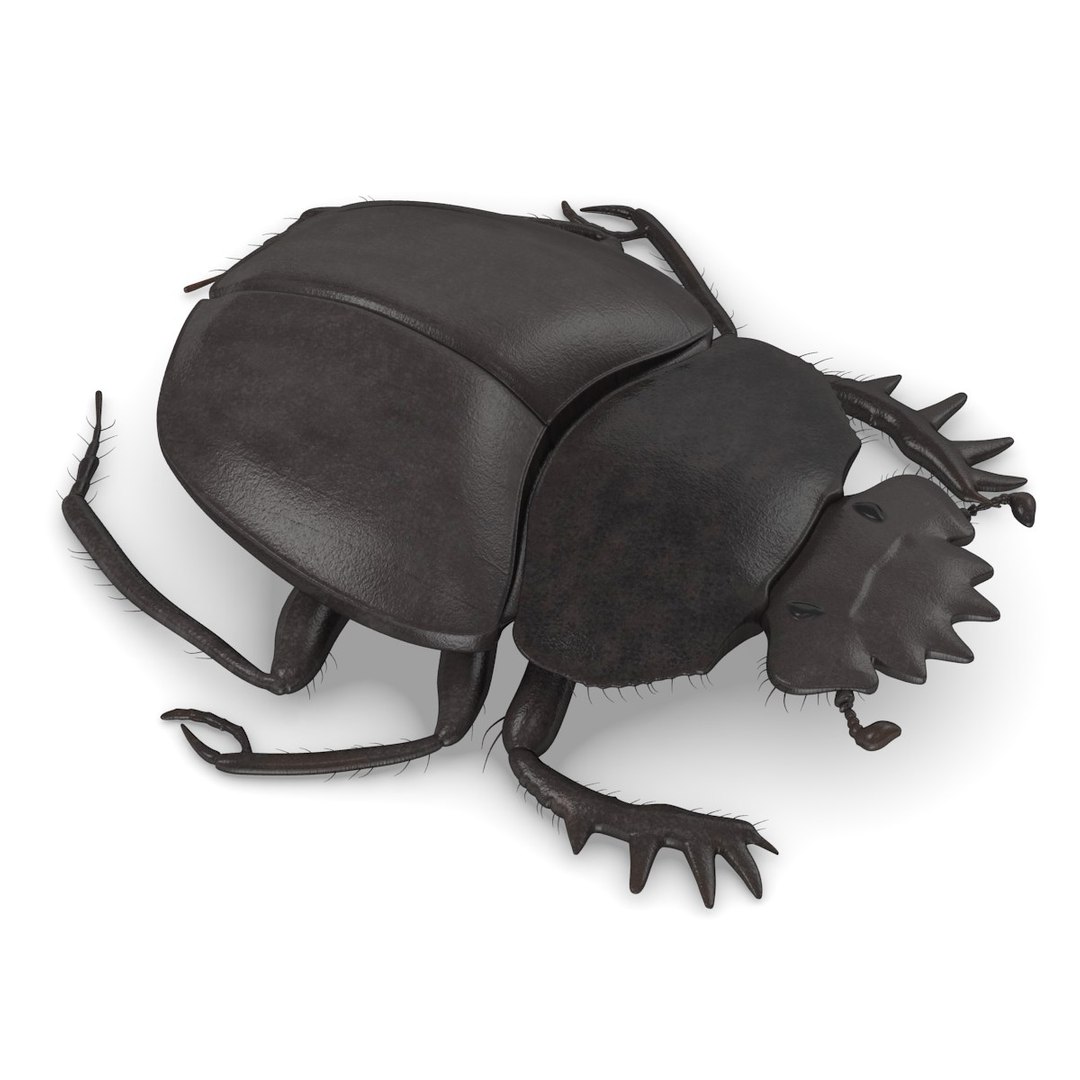 Scarabeus Typhon 3ds