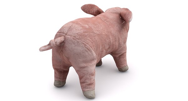 3D scan plush pig - TurboSquid 1266905
