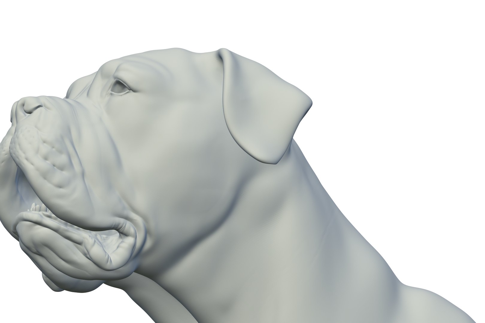 Cane Corso 3D Model - TurboSquid 2214014