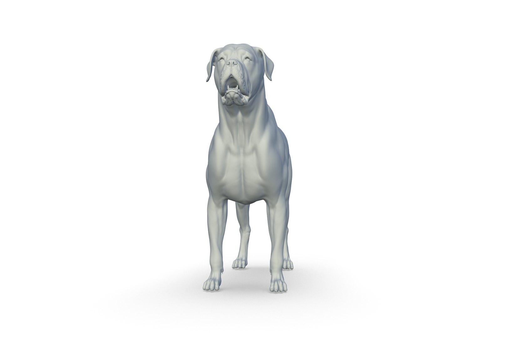 Cane Corso 3D Model - TurboSquid 2214014