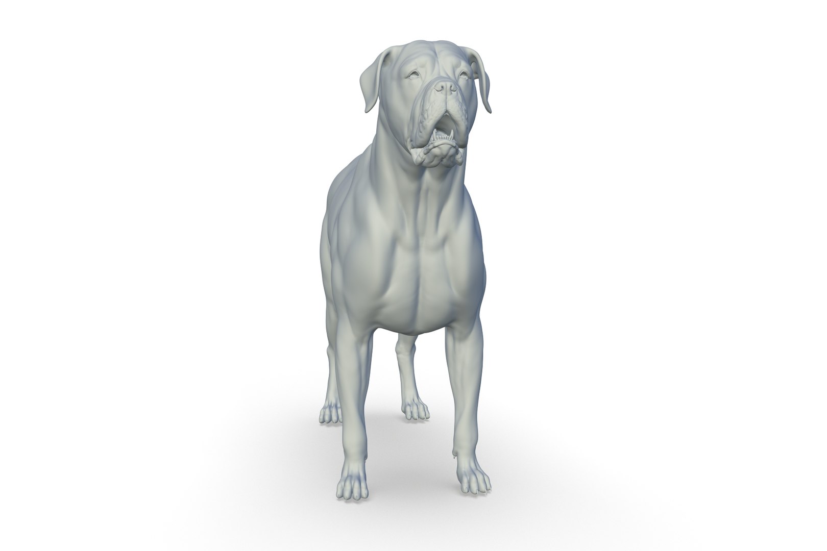 Cane Corso 3D Model - TurboSquid 2214014