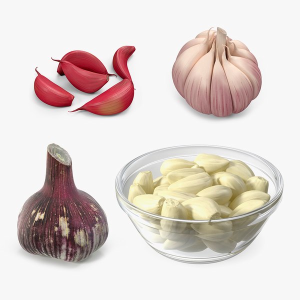 3D Garlic Models | TurboSquid