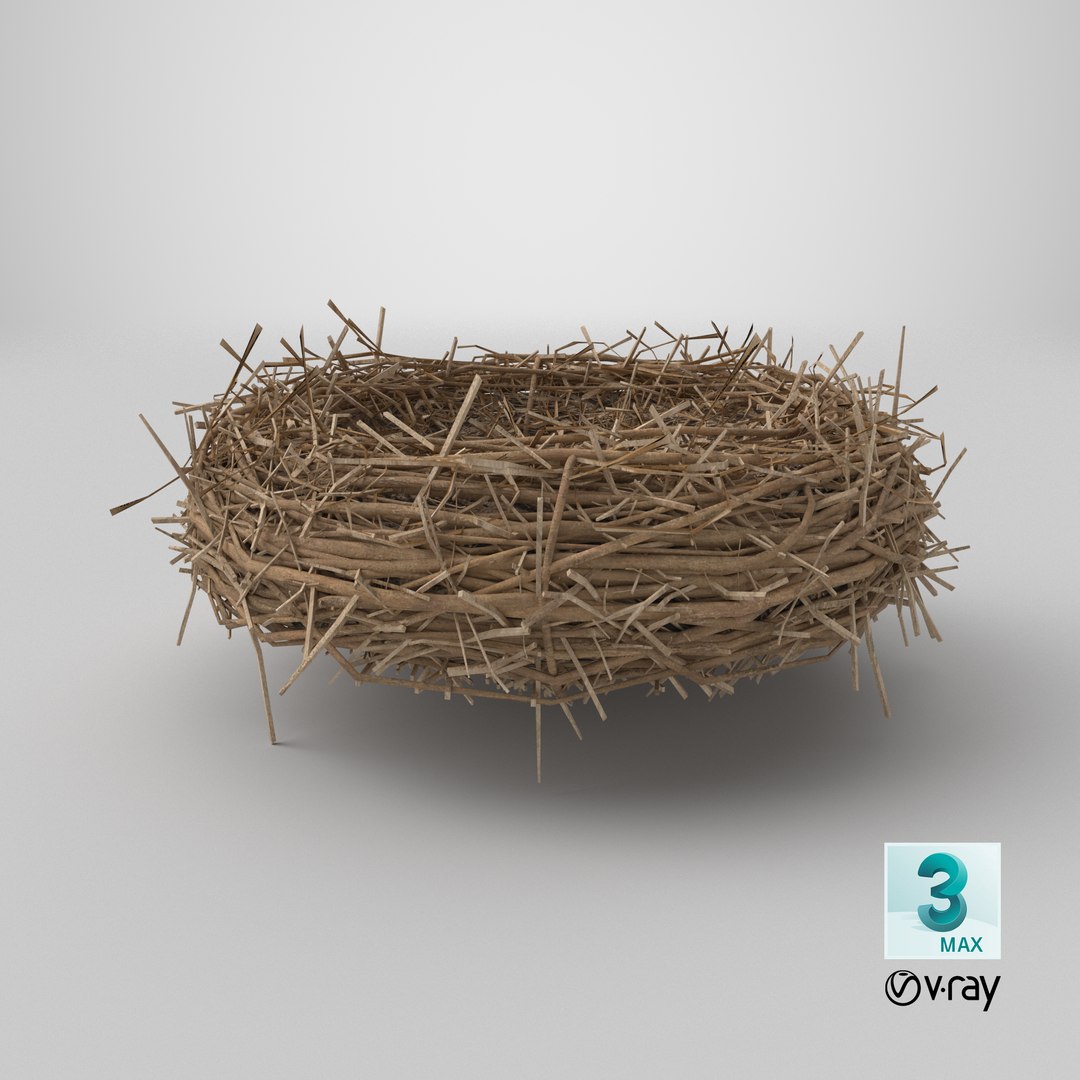 Bird Nest 2 3D - TurboSquid 2146355