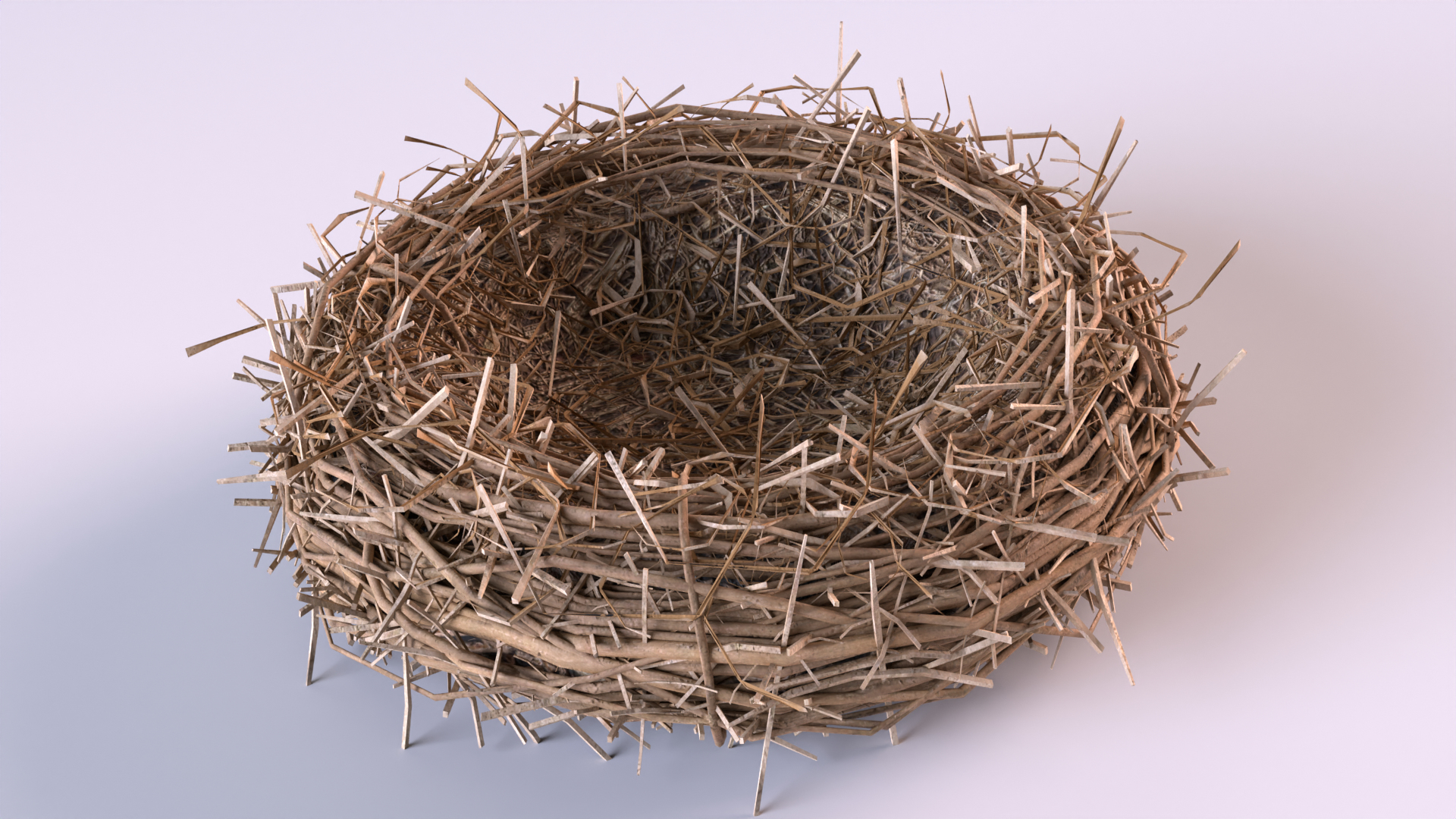 Bird Nest 2 3D - TurboSquid 2146355