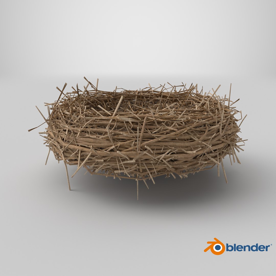 Bird Nest 2 3D - TurboSquid 2146355