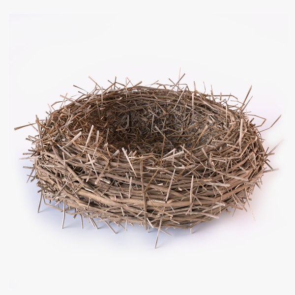 Free 3D Birds-Nest Models | TurboSquid