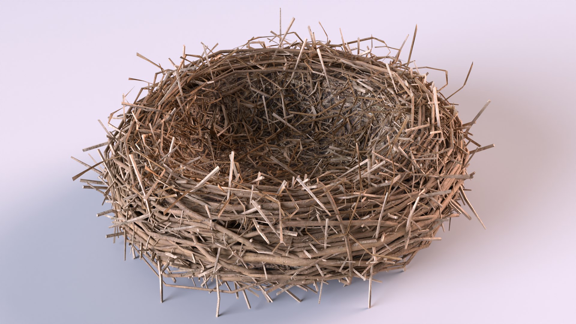 Bird Nest 2 3D - TurboSquid 2146355